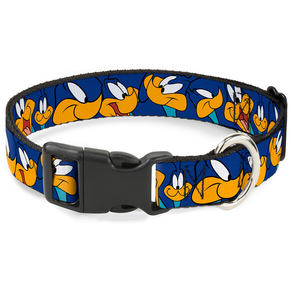 Plastic Clip Collar - Road Runner Expressions Royal – Buckle-Down